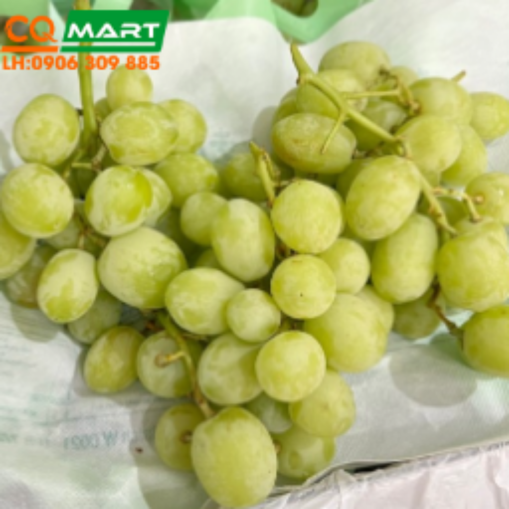 CQ Mart Food & Wine. Nho xanh Core Nam Phi Hộp 500gr